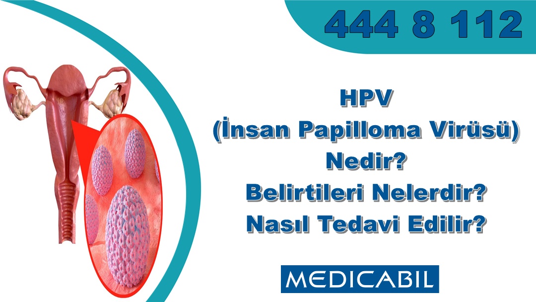 HPV (İnsan Papilloma Virüsü) Nedir? Belirtileri Nelerdir? Nasıl Tedavi ...
